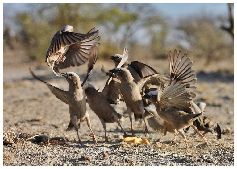 Olorgesailie Prehistoric Site – Dark Star Safari | The Kenyan Camper